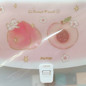 Cute Pink Peach File Folder 13 Pocket Folder Decorative Document Keeper ...
