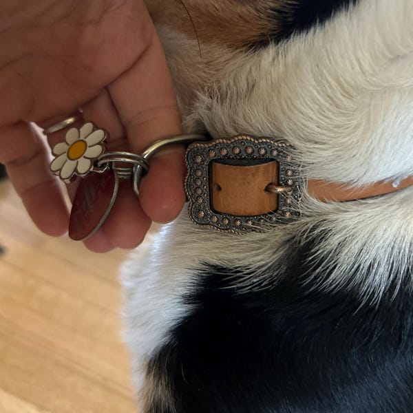 Pink Buckstitch, Leather Buckstitch Lace, Genuine Kangaroo Lace, 5MM ...