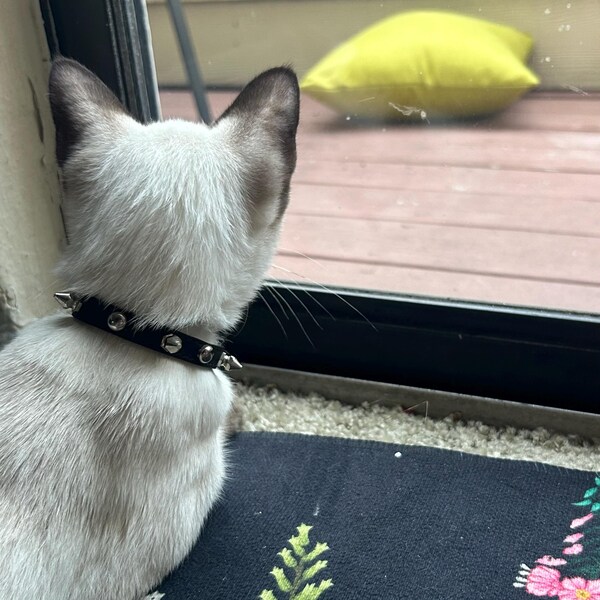 Spiked Cat Collar, Thin Collar, Leather Collar With Engraved Name ...