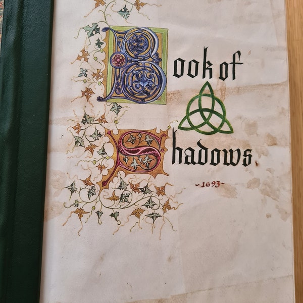 Violetta's Diary A5 Le Journal Intime De Violetta Journal El Cuarto De ...