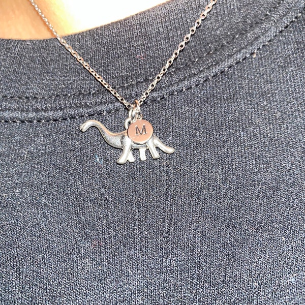 Silver Dinosaur Necklace Paleontologist Taphonomy Taphonomists ...