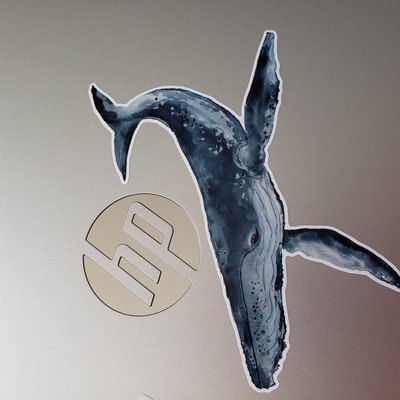 Whale Stickers, Sea Life Stickers, Wildlife Stickers, Humpback Whale ...