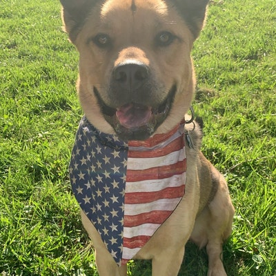 American Flag Dog Bandana, Slides Over the Collar, Cat Bandana, Dog ...