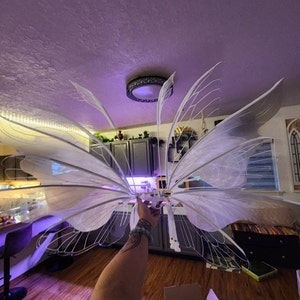Transparent Wings, Moth Wings, Butterfly Wings, Elf Wings, Butterfly ...