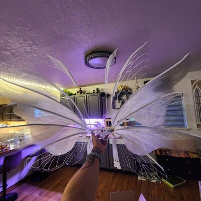 Transparent Wings, Moth Wings, Butterfly Wings, Elf Wings, Butterfly ...