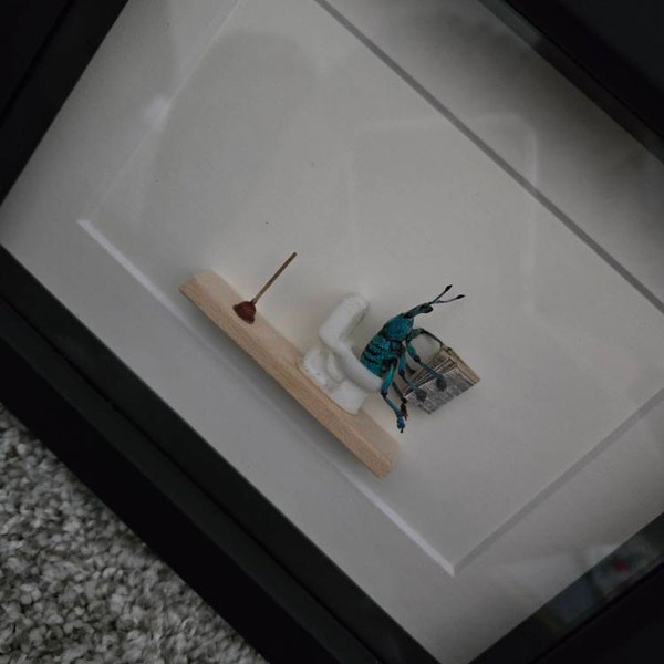 Beetle Sitting on Toilet Dung Beetle Insect Art Diorama 6x8 - Etsy