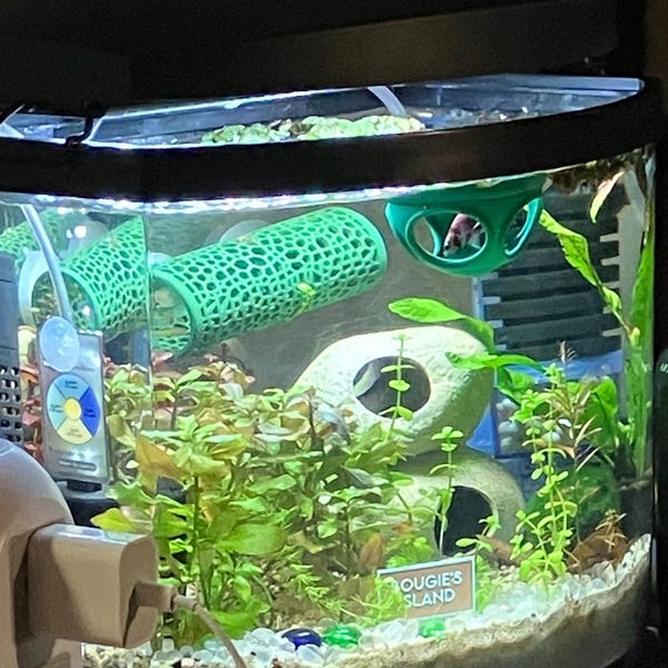 Mushroom Cave Aquarium Ornament, Customizable Fish & Shrimp Tank Decor ...