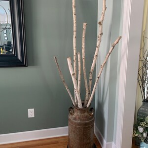 Thick Level White Birch Slabs Dried Birch Tree Disk Tree - Etsy