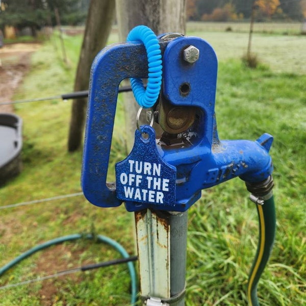 Sunflower Tooled Bit Guards - Etsy