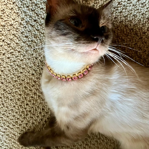 Dog/cat Jewelry, Bling Collar, Gem Collar, Austrian Crystals, Collar ...