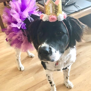 Dog Birthday Princess Tutu & Crown Pink and Purple Solid | Etsy