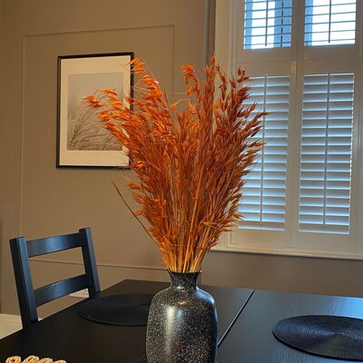 Burnt Orange Oats / Dried Avena Oats / Dried Flowers Bulk / Dried ...