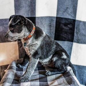 Cattle Sorter, Cow Counter, Cattle Counter, Cowgirl Accessories, Farm ...