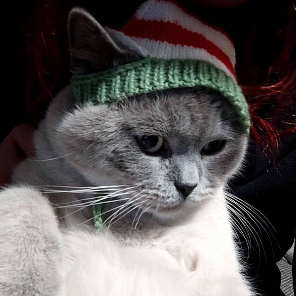 Elf Hat for Cats, Christmas Pet Costume, Gift for Cat Lovers, Pet ...