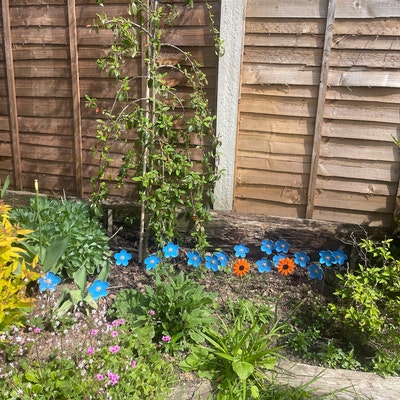 Metal Wren Rusty Garden Bird Art Decor Fence Topper Pergola Allotment ...