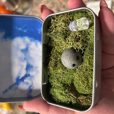 Adopt a TINY PEBBLE PAL W/ Crystal Moss Cork Jar Home Handmade Tiny ...