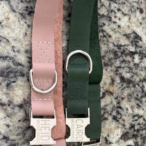 Personalized Leather Dog Leash, Personalized Dog Leash, Leather ...