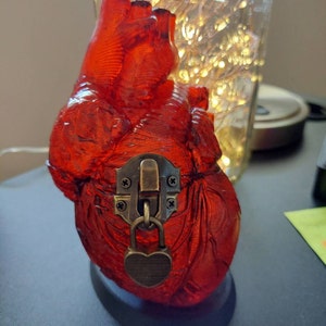 Realistic Heart-shaped Box 2 Styles Anatomical Heart - Etsy