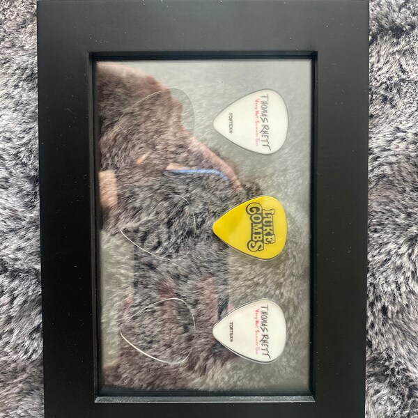 Guitar Pick Display - 4" X 6" Horizontal Frame BLACK - Holds 6 Guitar ...