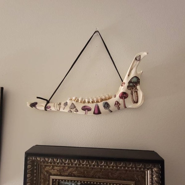 Cottage Core Deer Jawbone Wall Hanging Decor Real Bone Painted Skull ...