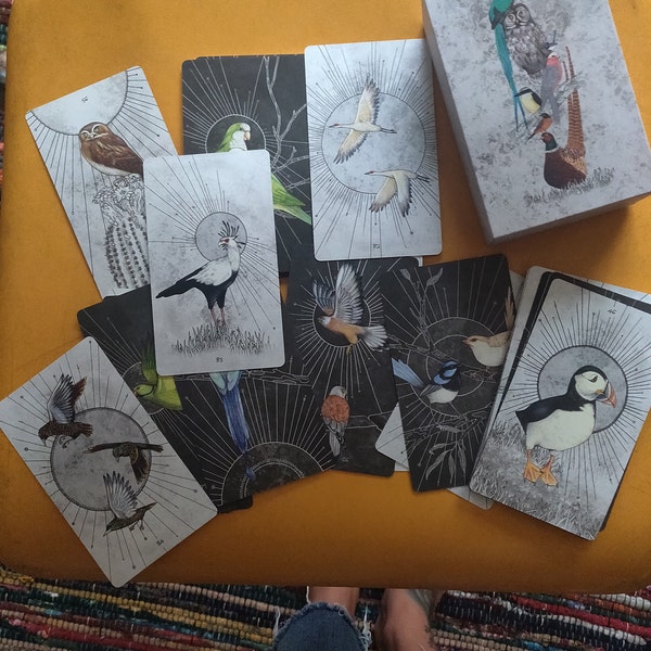 Birds Oracle Deck 2 WITH Additional Box - Etsy