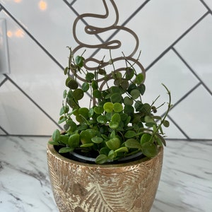 Fern Leaf Trellis for Climbing Plants 3D Printed Trellis for Indoor ...