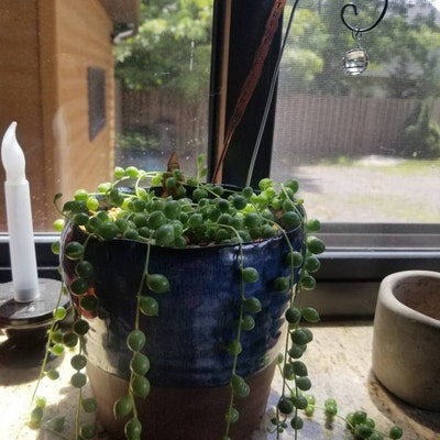 Primitive Watch Over the Ones We Love Picture - Etsy