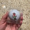 Portrait on Golf Ball, Portrait From Photo, Funny Golf Balls ...