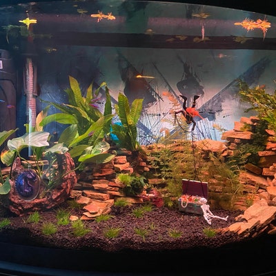 65 Gallon Aquascape Decor SOUL CANYON Aquarium Dragon Rocks - Etsy