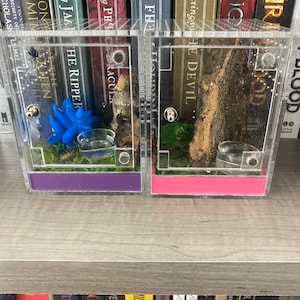 Deluxe Isopod Starter Kit Isopod Terrarium Kit for Isopods With Isopod ...