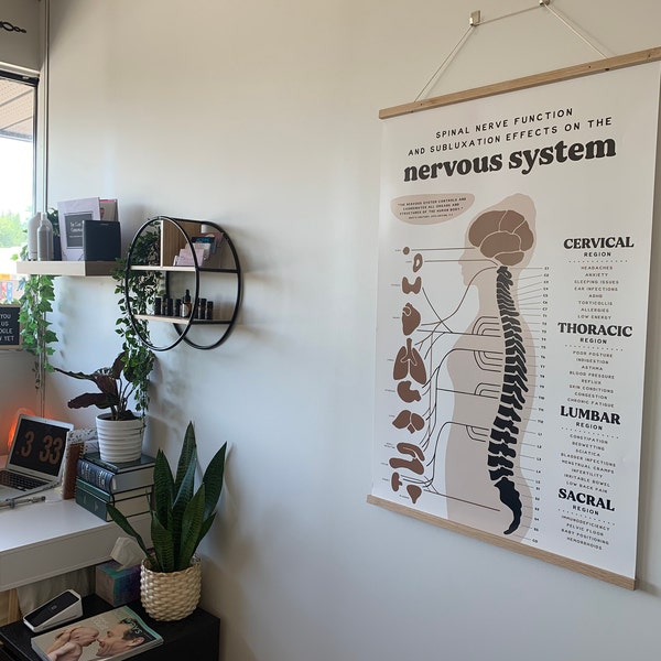 Chiropractic ANS Chart + Nervous System Poster | Subluxation Effects - Etsy
