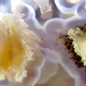 Hand Carved Abalone Shell Feather Earrings Pair Bohemian - Etsy