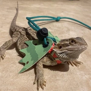 Leather Lizard HarnessHappy Harvest | Etsy