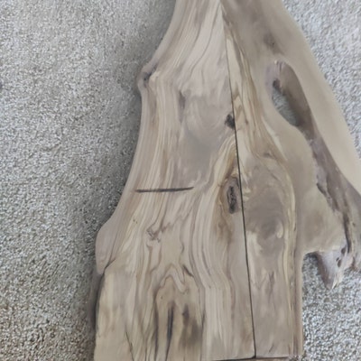 40 Ancient Olive Root Burl Slices - Etsy
