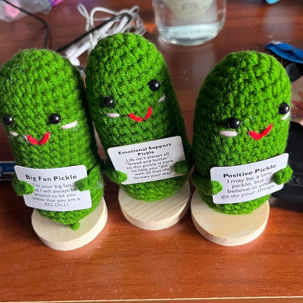 Emotional Support Pickle,positive Pickle,big Fan Pickle,handmade ...