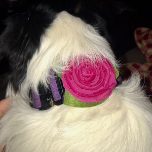 Rifle Paper Co Print Dog Collars 9 Cute Floral Trendy Patterns No ...