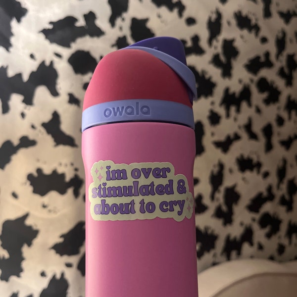 I'm Overstimulated and About to Cry Sticker, Mental Health, Hydro Flask ...