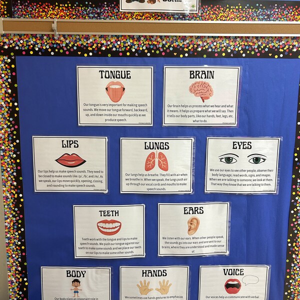 Speech Therapy Poster, Place of Articulation, Speech Room Decor, Speech ...