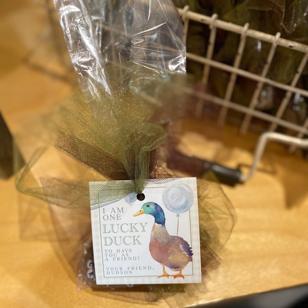 Lucky Duck Birthday Thank You Card, Good Bag Tag Set, Enclosure Card ...