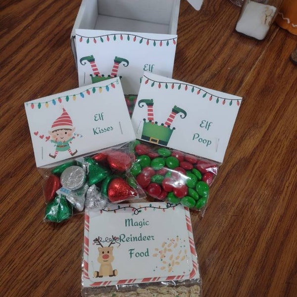 Santa Cam, Elf Cam, WITH PERSONALIZATION Surveillance Camera, Santa Spy ...