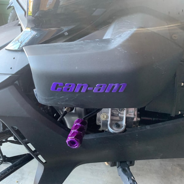 Ryker Can Am Air Intake Decal Set Ryker Motorcycle Custom Vinyl Decal ...
