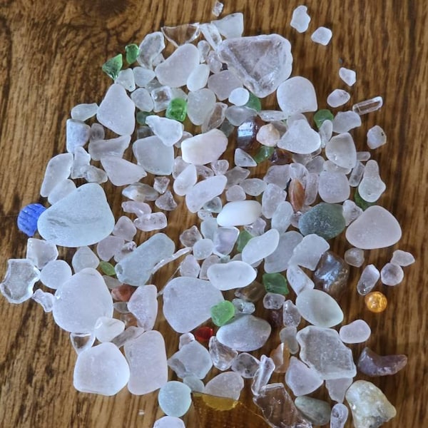 Shell Scoop, Rock Hunt Scoop, Shark Tooth Sifter, Sand Scoop, Rock ...