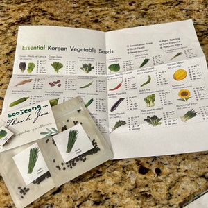 대파 100 Seeds / Korean Welsh Onion Seeds Seeds, Big Green Onion, Korean ...