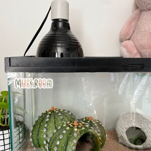 This is Probably Not Water Sticker Sarcasm Sticker Funny | Etsy