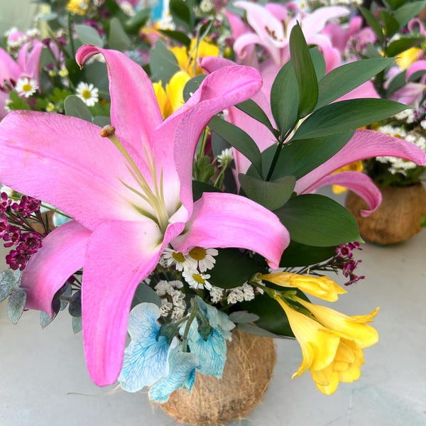 Natural Coconut Shell Flower Vases, Wedding Decor, Home Decor, Table ...