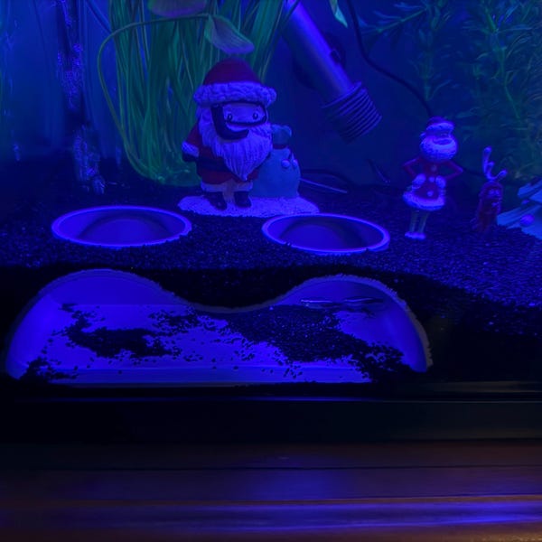 Aquarium Cave Tree Stump, Cichlid Cave, Kuhli Loach Dojo Loach ...