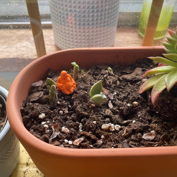 Manta Ray Zentangle Decal - Etsy