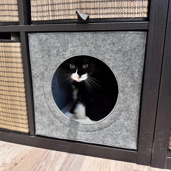 Kallax Insert Cat Bed With Two Entrances, Cat Beds and Caves, IKEA Kallax Cat House, Cat Bed Box ...