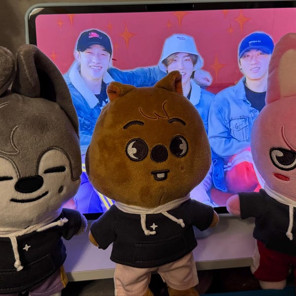 Pilot Skzoo Clothes, Cute Skzoo, Pilot Skzoo Outfits, Stray Kids Doll ...