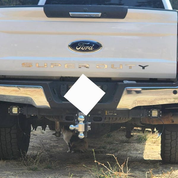 Hitch Bar Lighting | Flush Mount Style | 2008-2026 Ford F250/F350/F450 ...